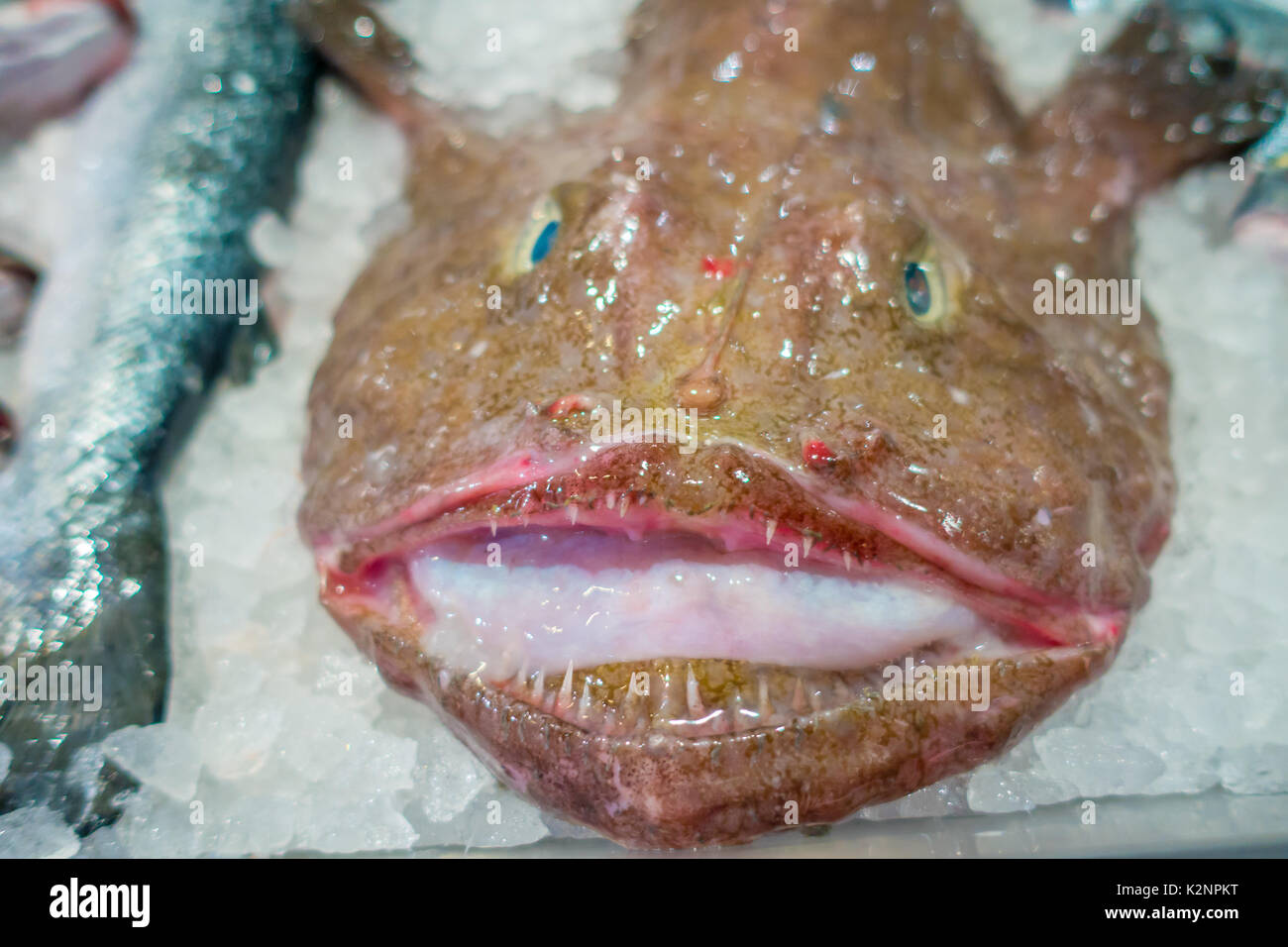 Fresh fish over a pile of ice, on harbour in Port d Andratx on Mallorca ...