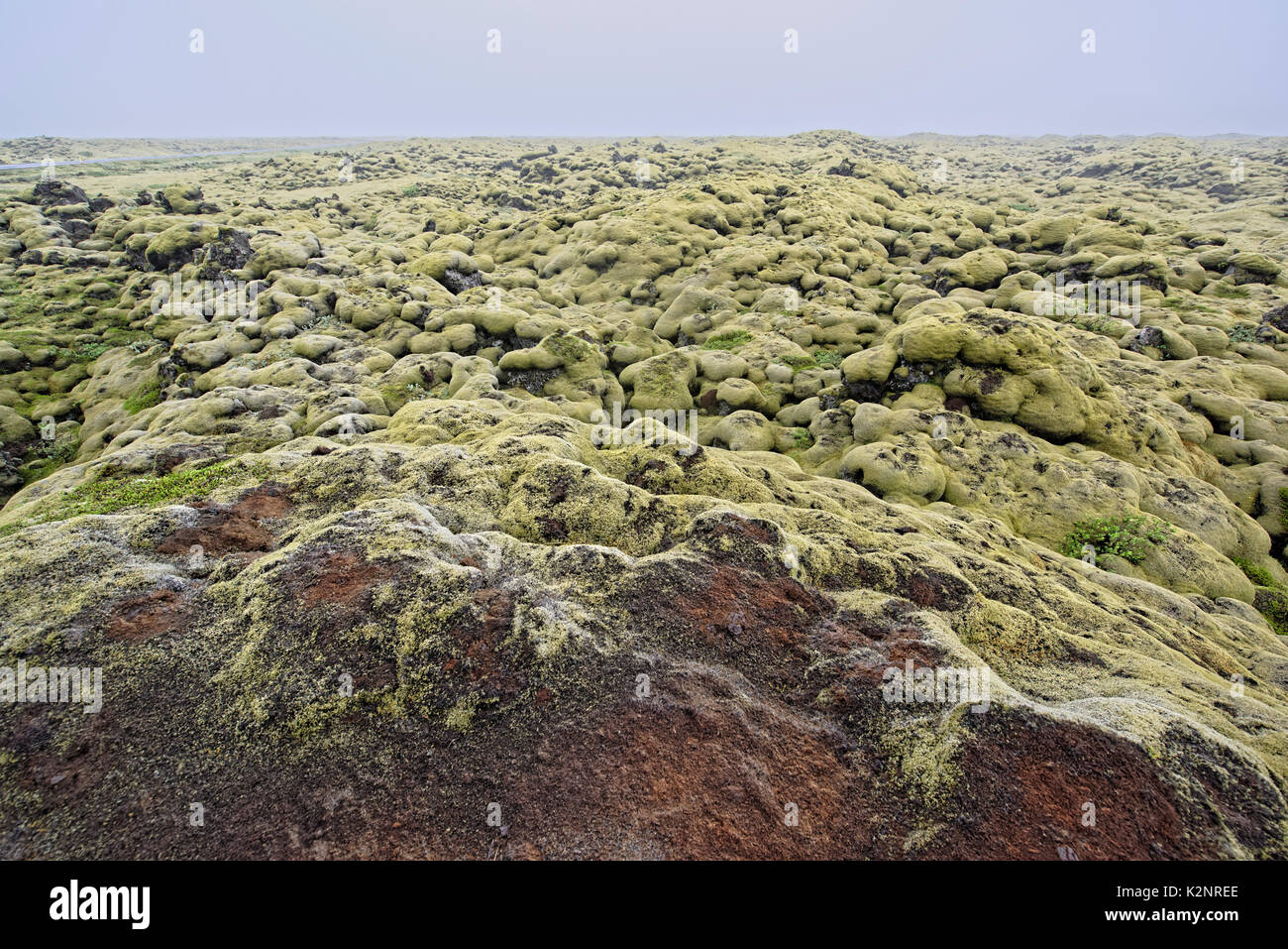 Bizarre lava formations surrounded by cotton grass, Skaelingar mountain ...
