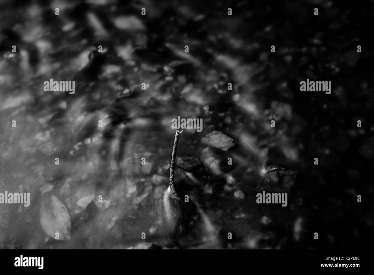 Surrounded with water Black and White Stock Photos & Images - Alamy