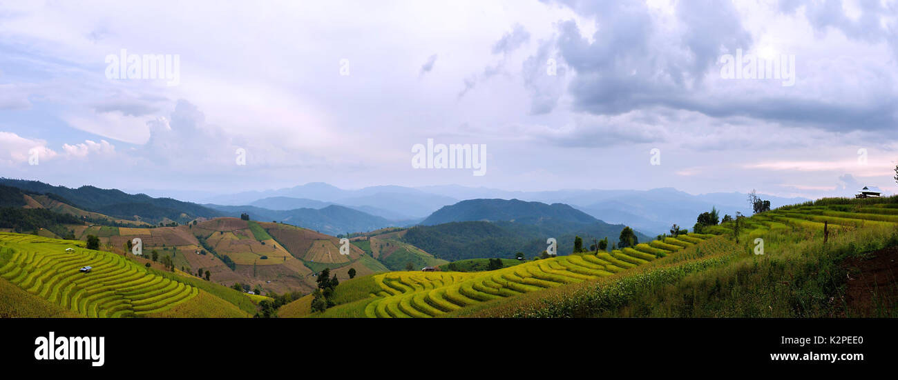 Rice terraces in Chiang Mai, Thailand Stock Photo - Alamy