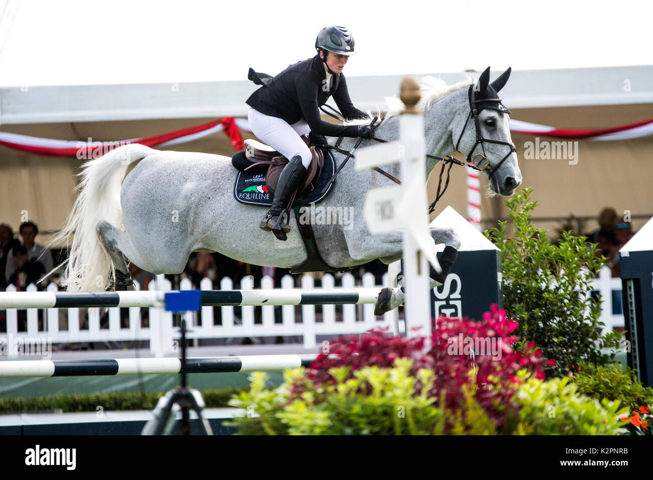 Saywell hi-res stock photography and images - Alamy