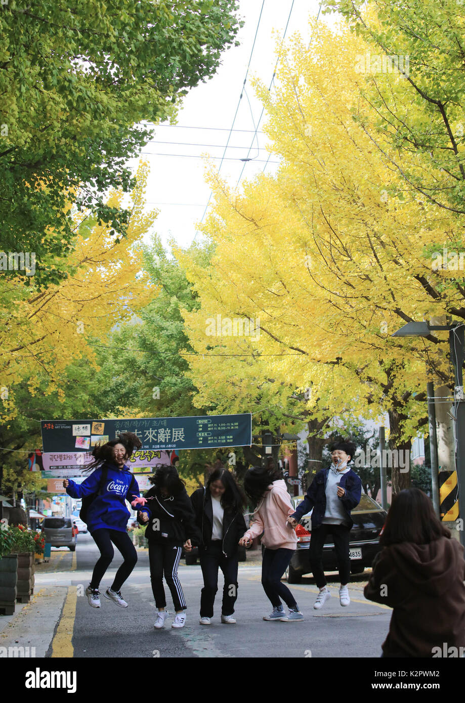 10th Nov, 2017. Ginkgo trees Students pose for a picture below ginkgo trees at an event in ...