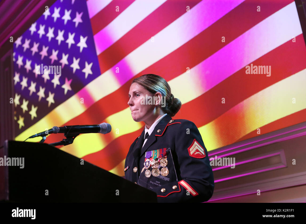 Los Angeles, Ca, USA. 9th Nov, 2017. Megan Leavey, at the 2nd Annual ...