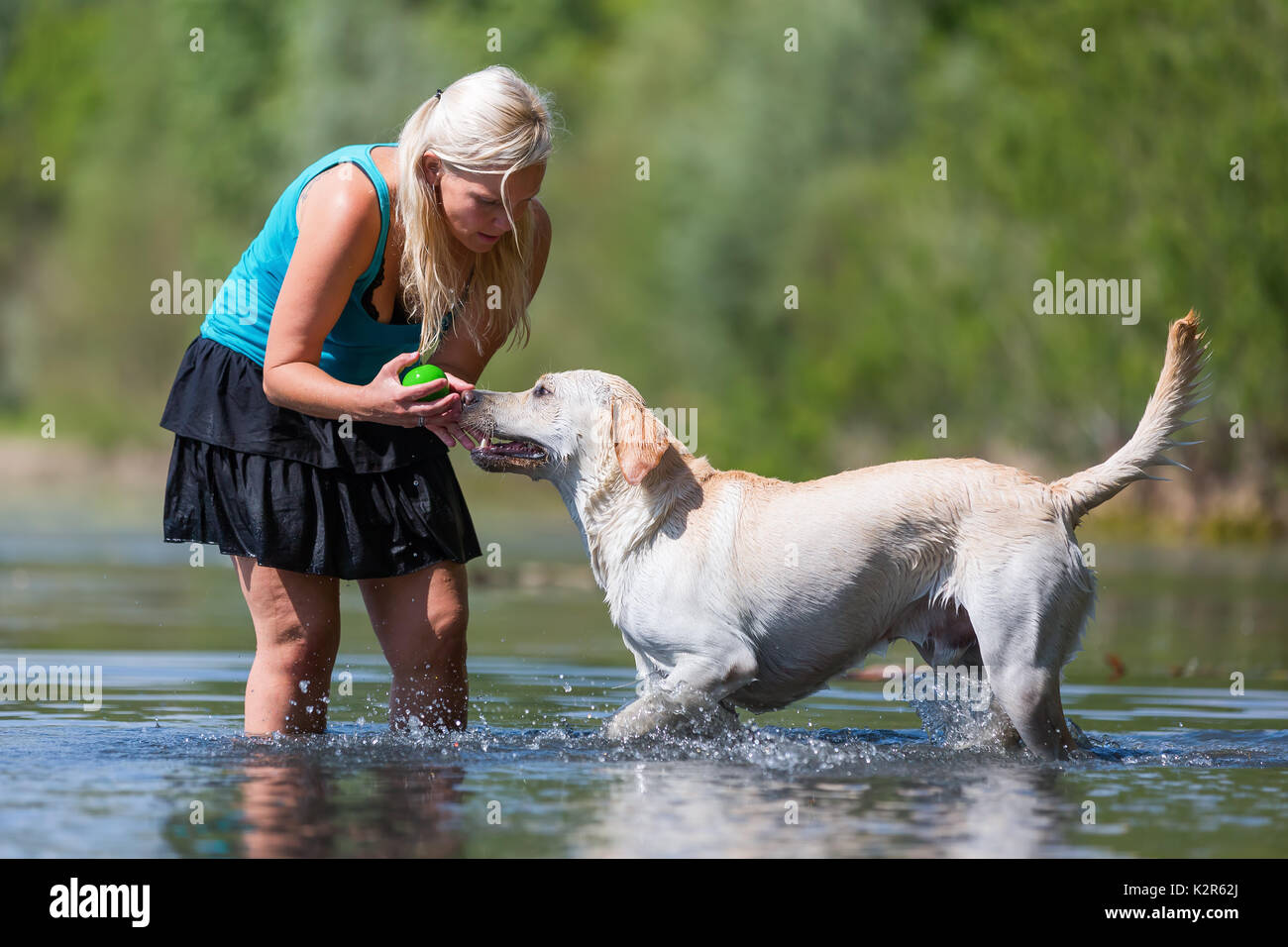 picture of a woman who plays with her labrador retriever in a lake ...
