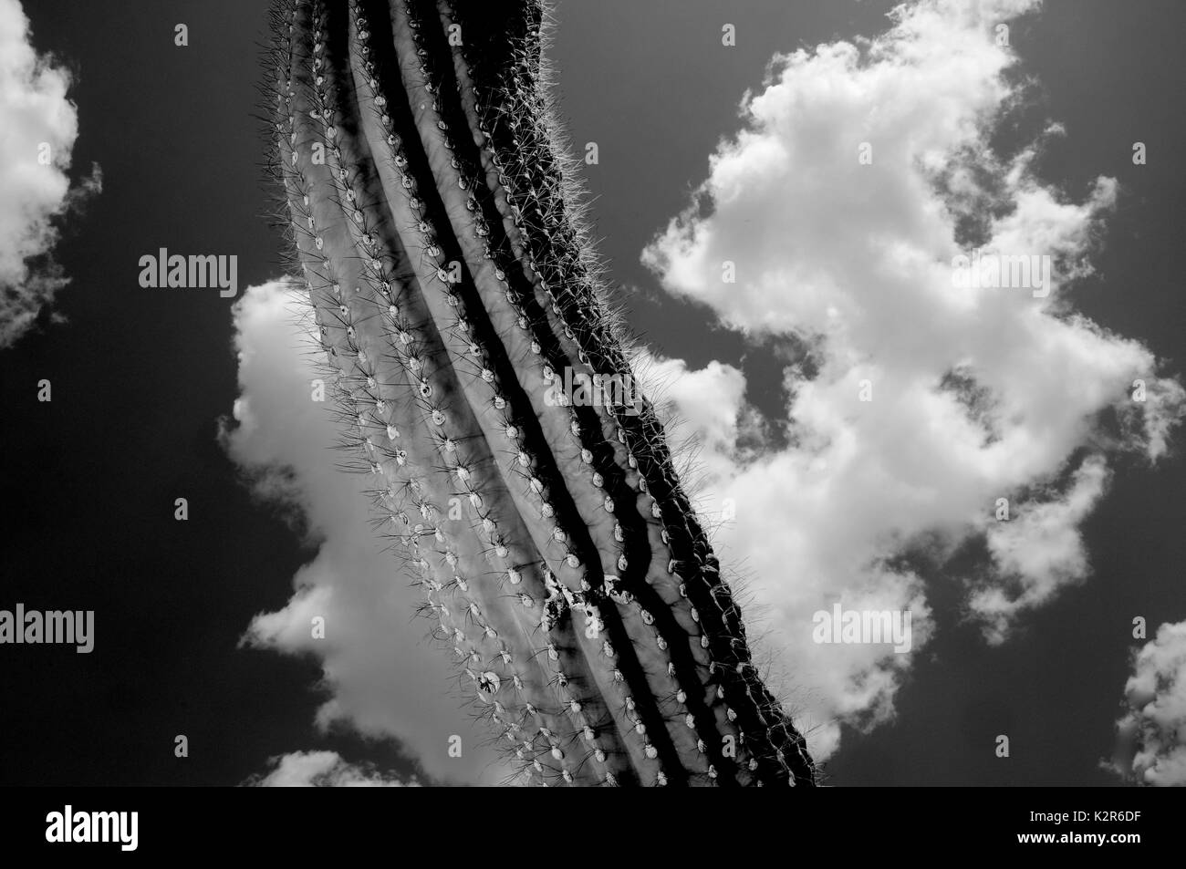 Eloy Arizona Stock Photos & Eloy Arizona Stock Images - Alamy