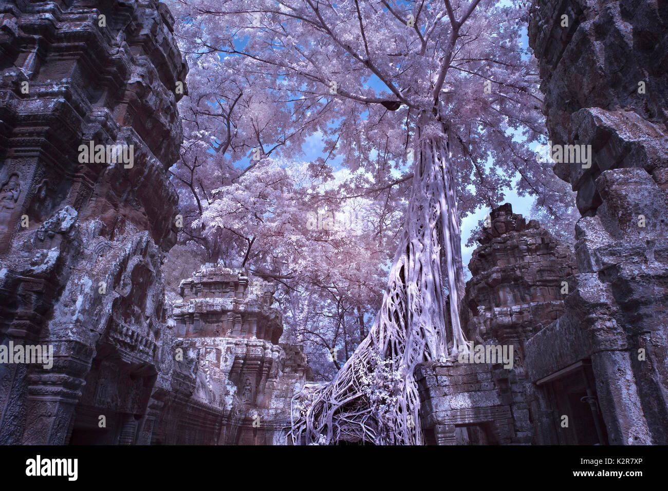 Roots room hi-res stock photography and images - Alamy