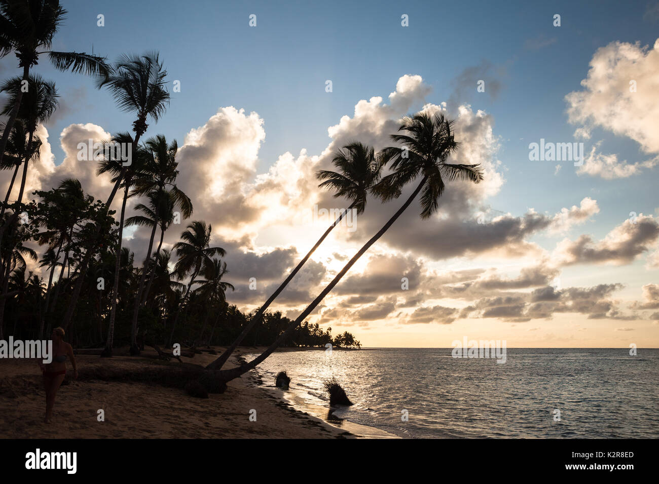 Dominicana woman hi-res stock photography and images - Alamy