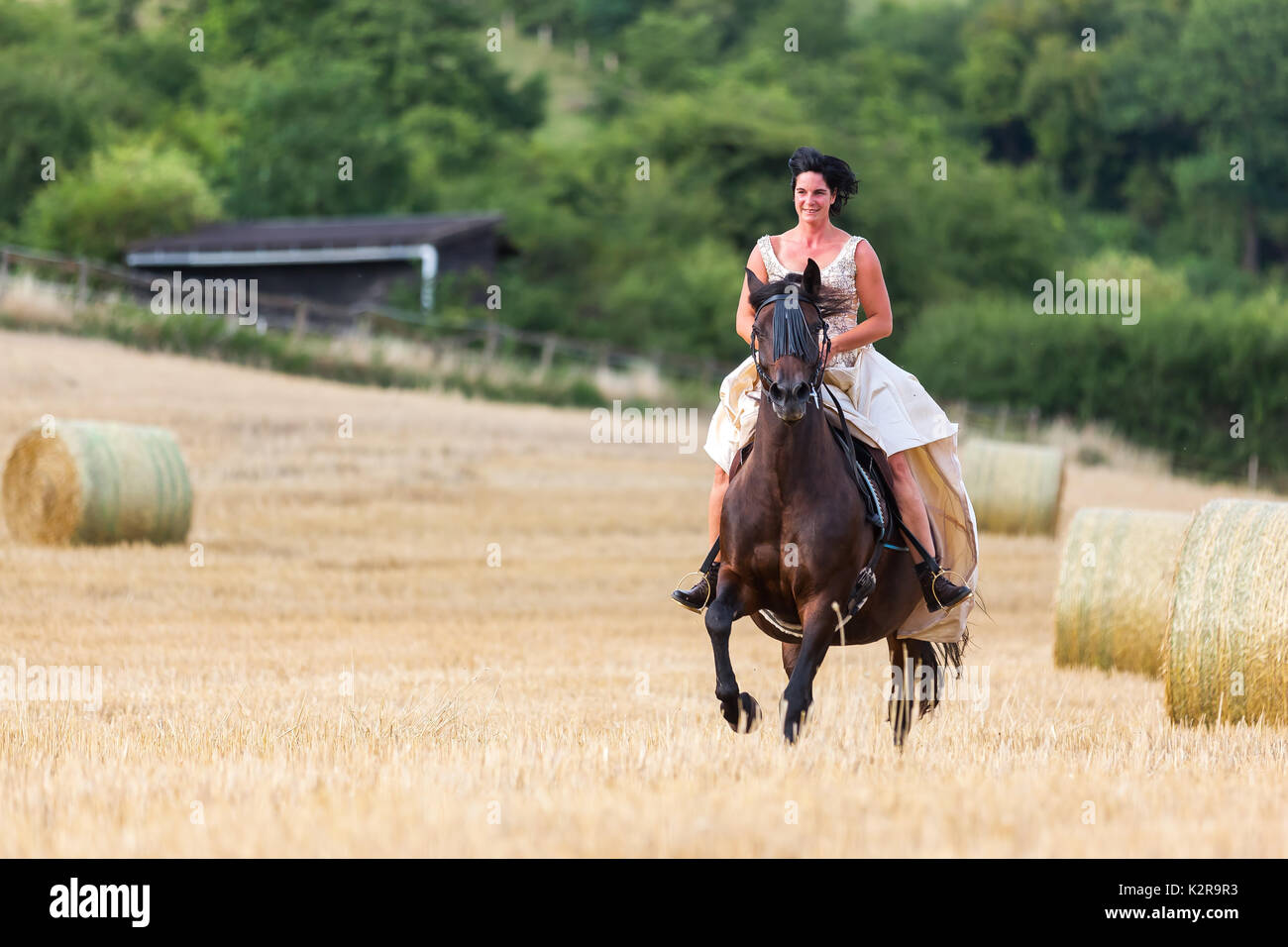 Mature Woman Horse Riding Stock Photos & Mature Woman Horse Riding ...