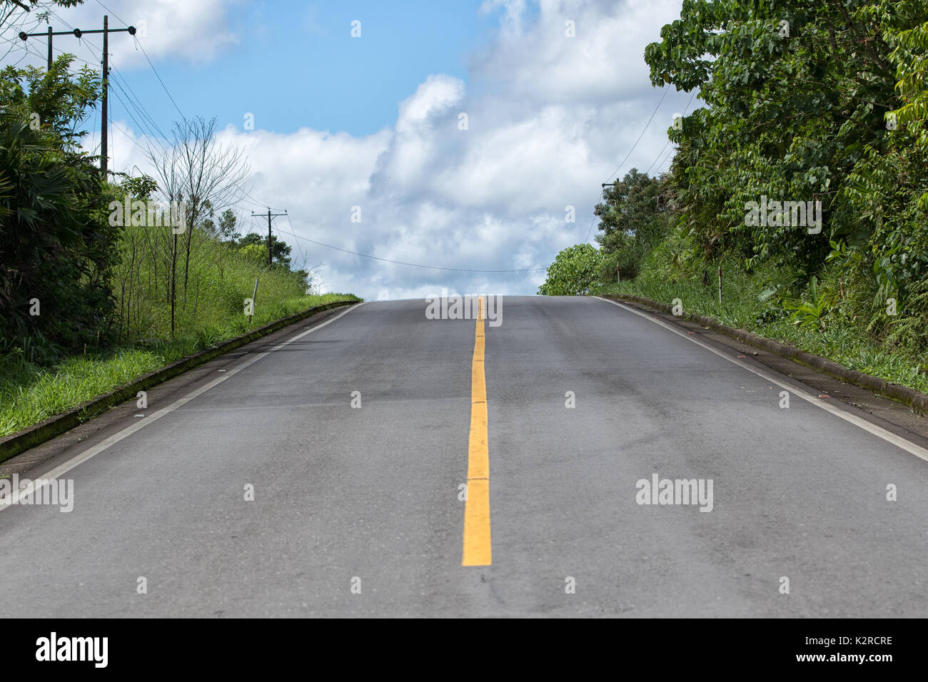 road through the Amazon area of Ecuador Stock Photo - Alamy