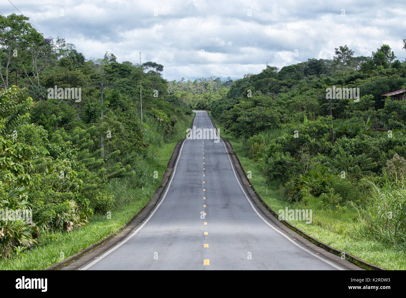 road through the Amazon area of Ecuador Stock Photo - Alamy