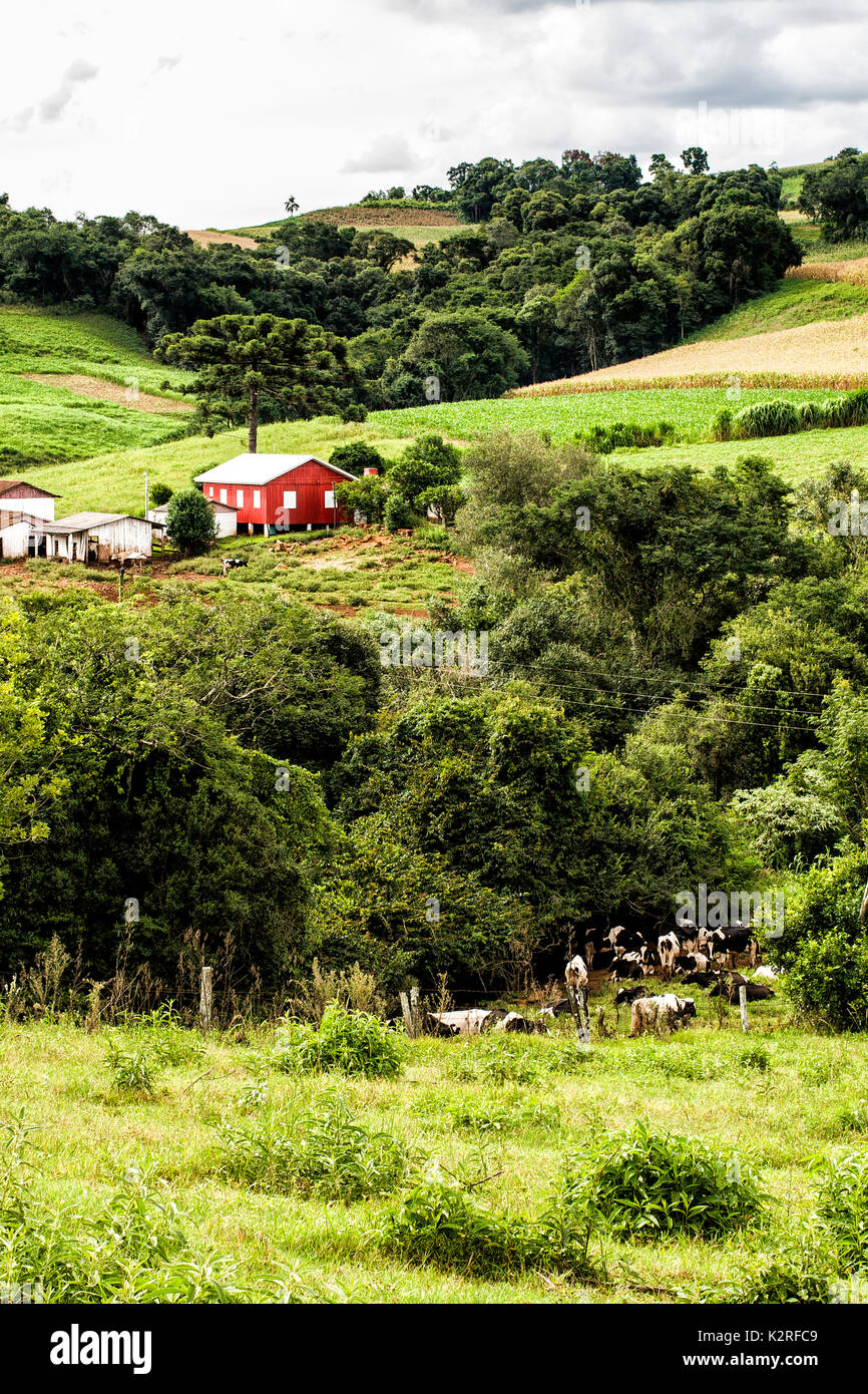 Rural landscape in southern Brazil. Guaraciaba, Santa Catarina, Brazil ...