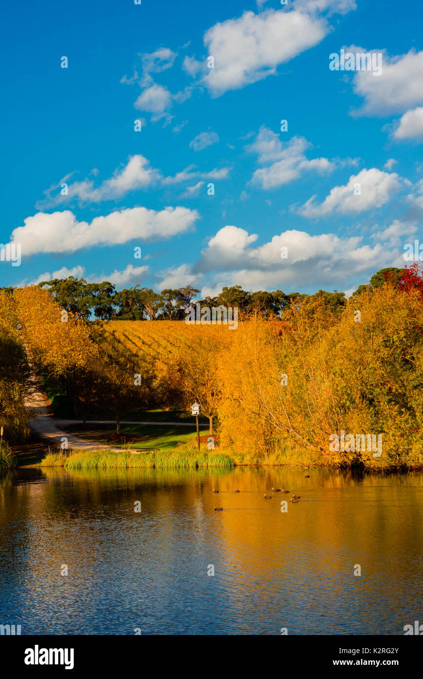 stunning autumn lake scene Stock Photo - Alamy