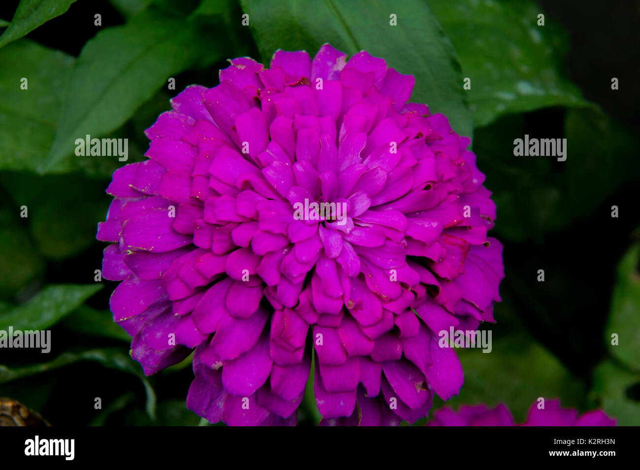 Ayase city hi-res stock photography and images - Alamy