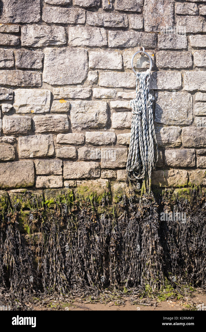 Rope out hi-res stock photography and images - Alamy