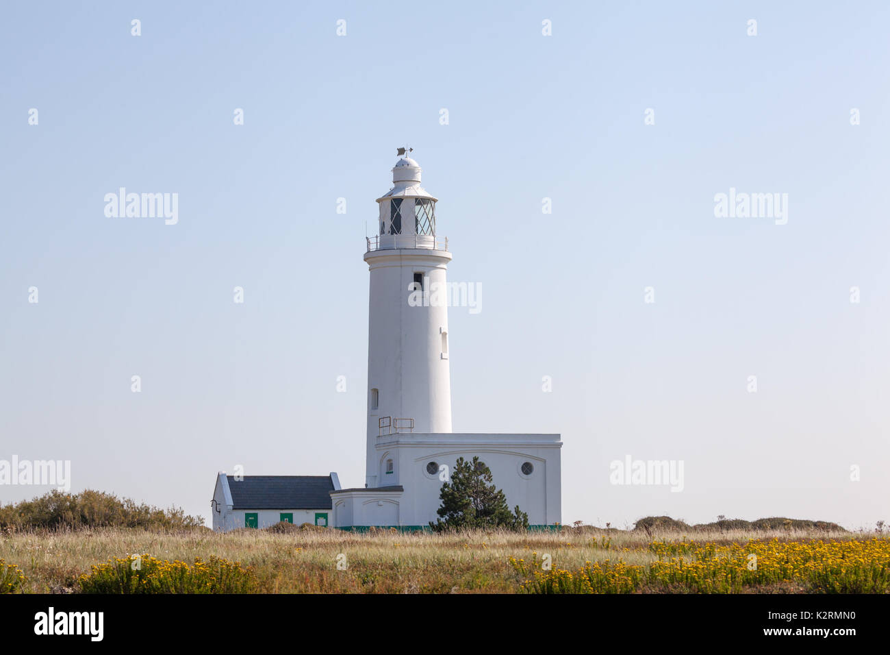 Hurst point Lighthouse Stock Photo - Alamy