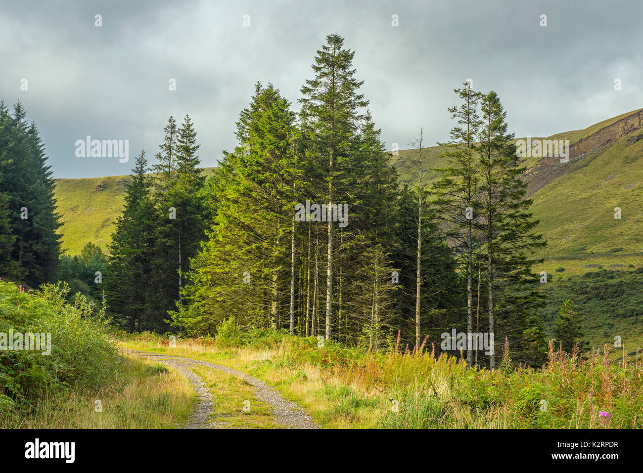 Garw valley hi-res stock photography and images - Alamy