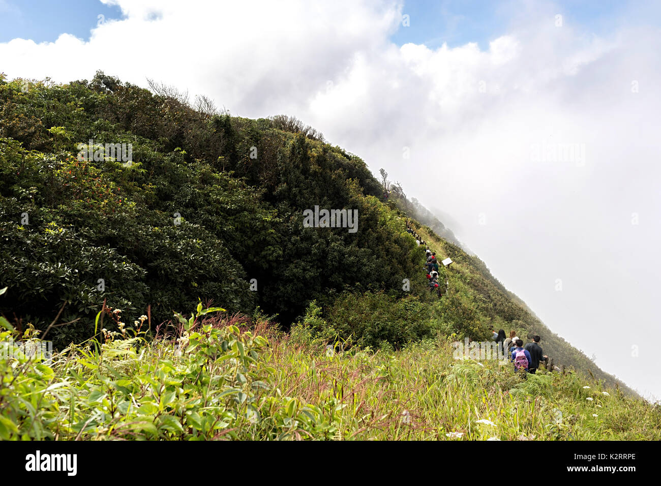 Landscape from Kew Mae Pan Nature Trail located at Chiang Mai Stock ...