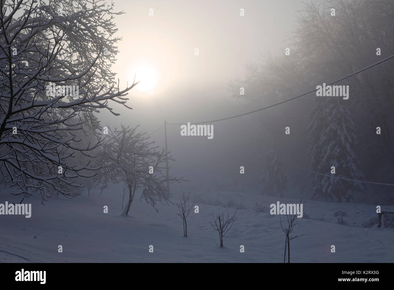 Morning after snowfall Stock Photo - Alamy