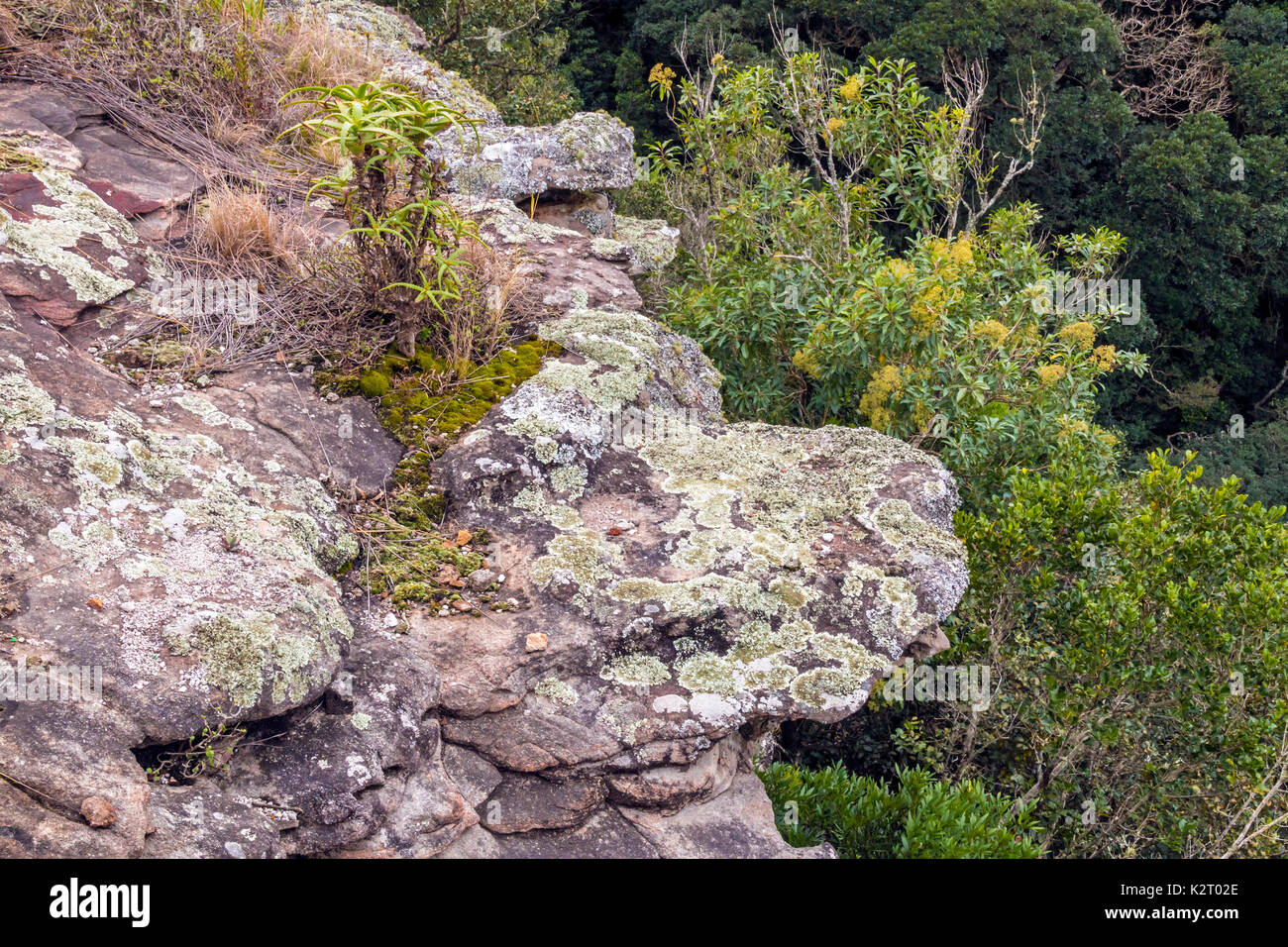 Rock precipice extending out over natural vegetation and deep gorge in ...
