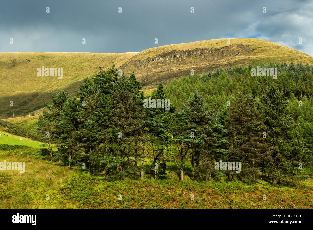 Garw valley hi-res stock photography and images - Alamy
