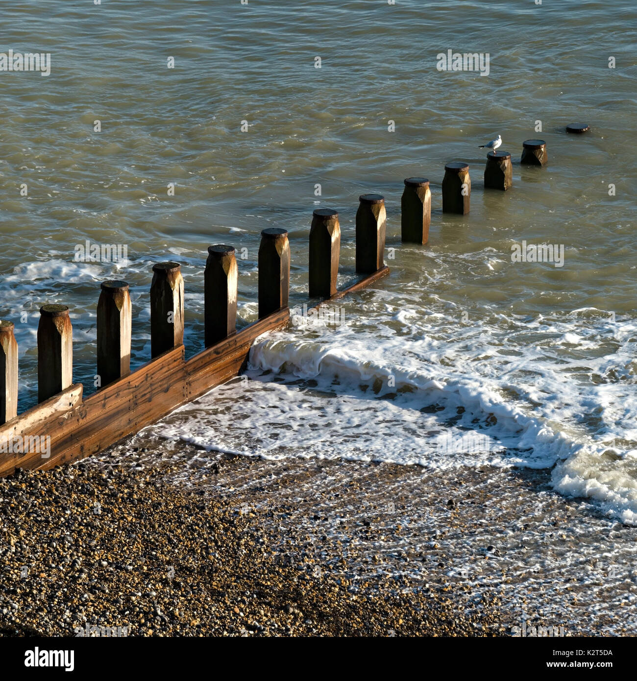 Old wooden seaside shingle beach groyne with sea, wave and surf ...