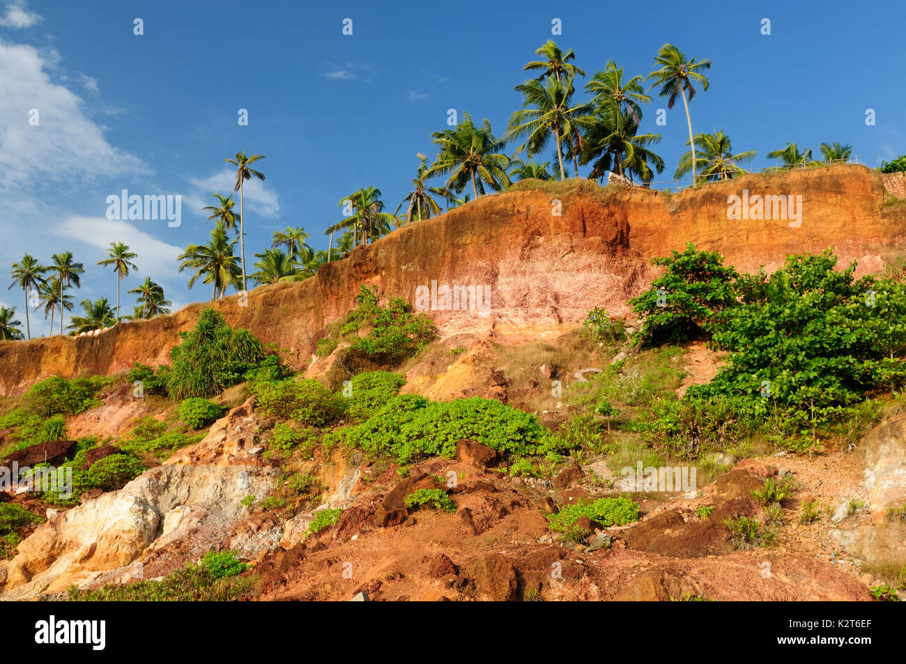 Exotic cliff beach in Varkala. Kerala. India Stock Photo - Alamy