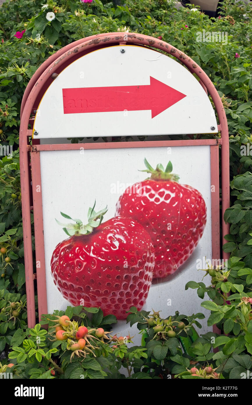 strawberry sellers sign Stock Photo - Alamy