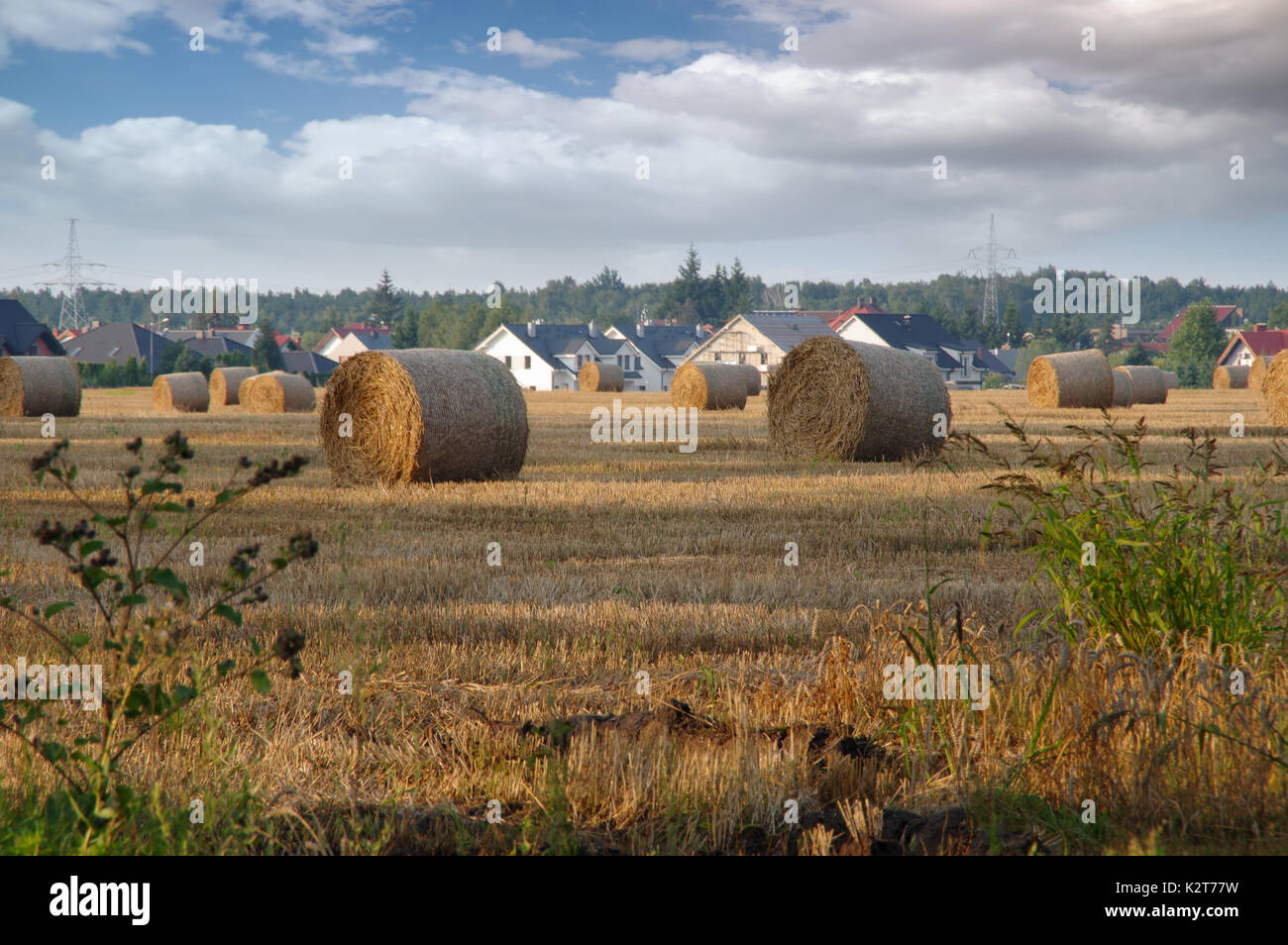 Dry hay bales after mowing on field with village in background Stock ...