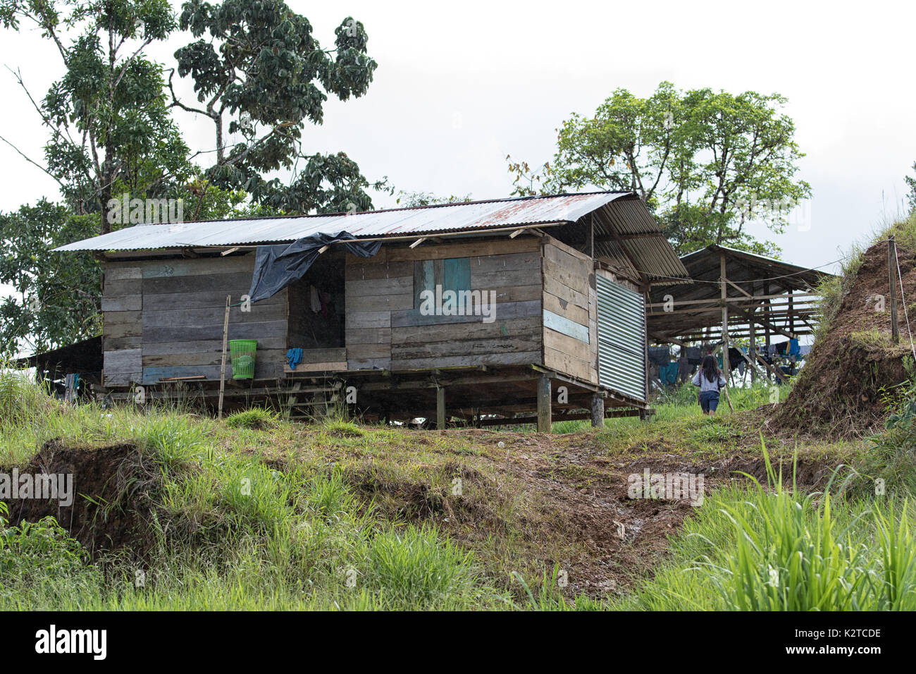 June 5, 2017 Lago Agrio, Ecuador: typical housing of the indigenous ...