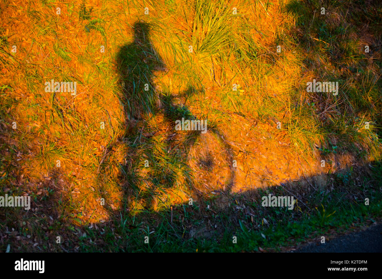 Sunset person shadow silhouette hi-res stock photography and images - Alamy