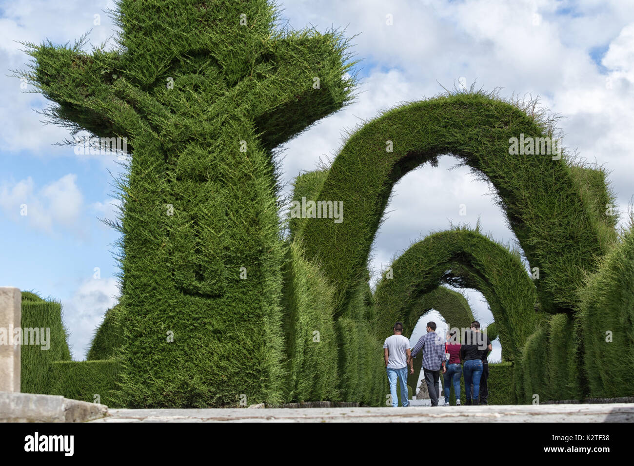 May 16, 2017 Tulcan, Ecuador: the extensive topiary of the local ...