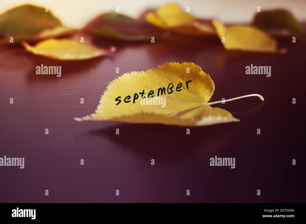 The inscription September on the yellow autumn leaf and a sad face ...