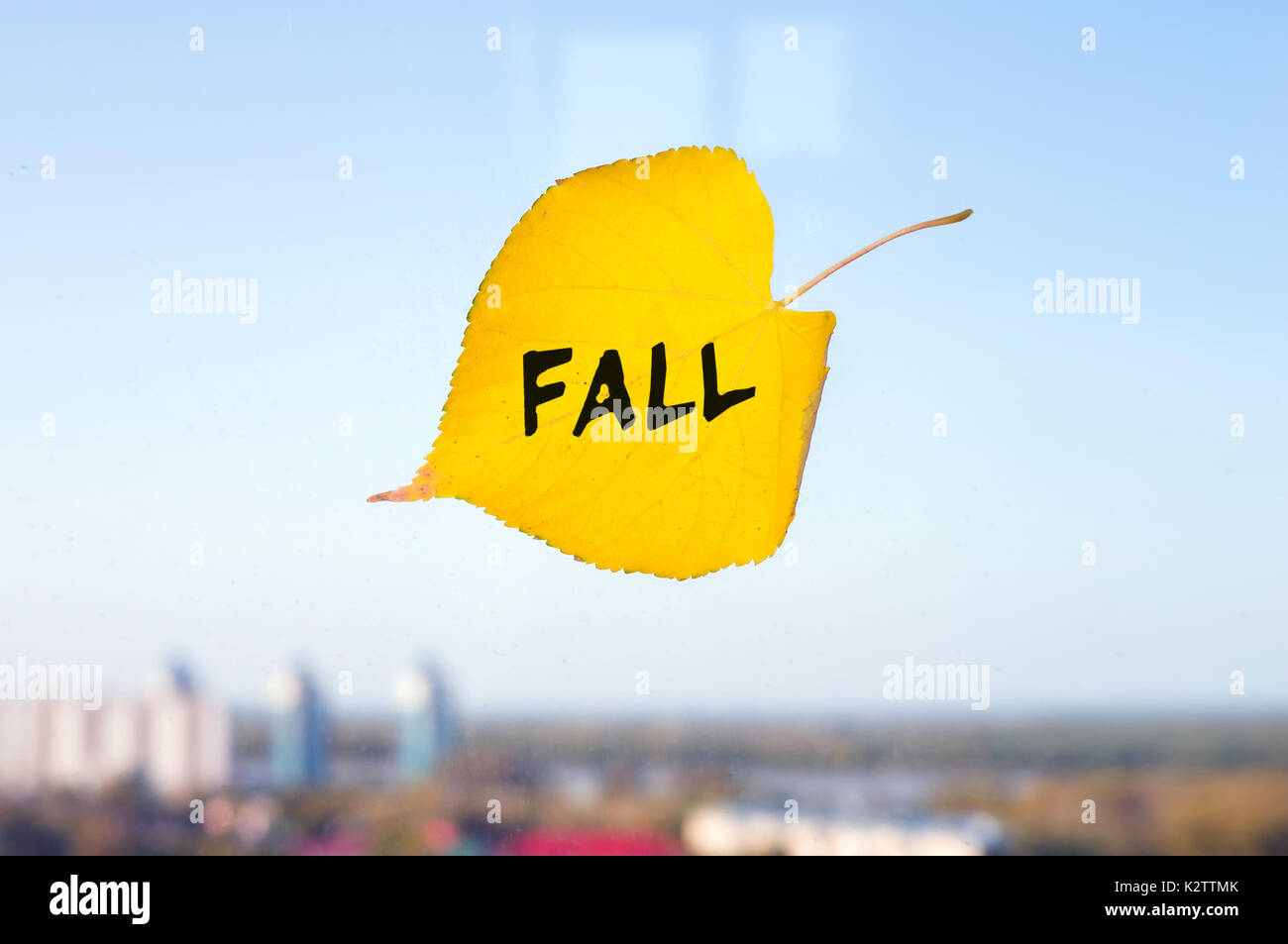 Yellow fallen leaf labeled fall stuck to the window on the skyline ...