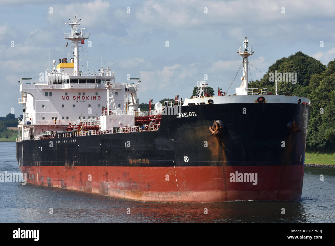 Axelotl hi-res stock photography and images - Alamy