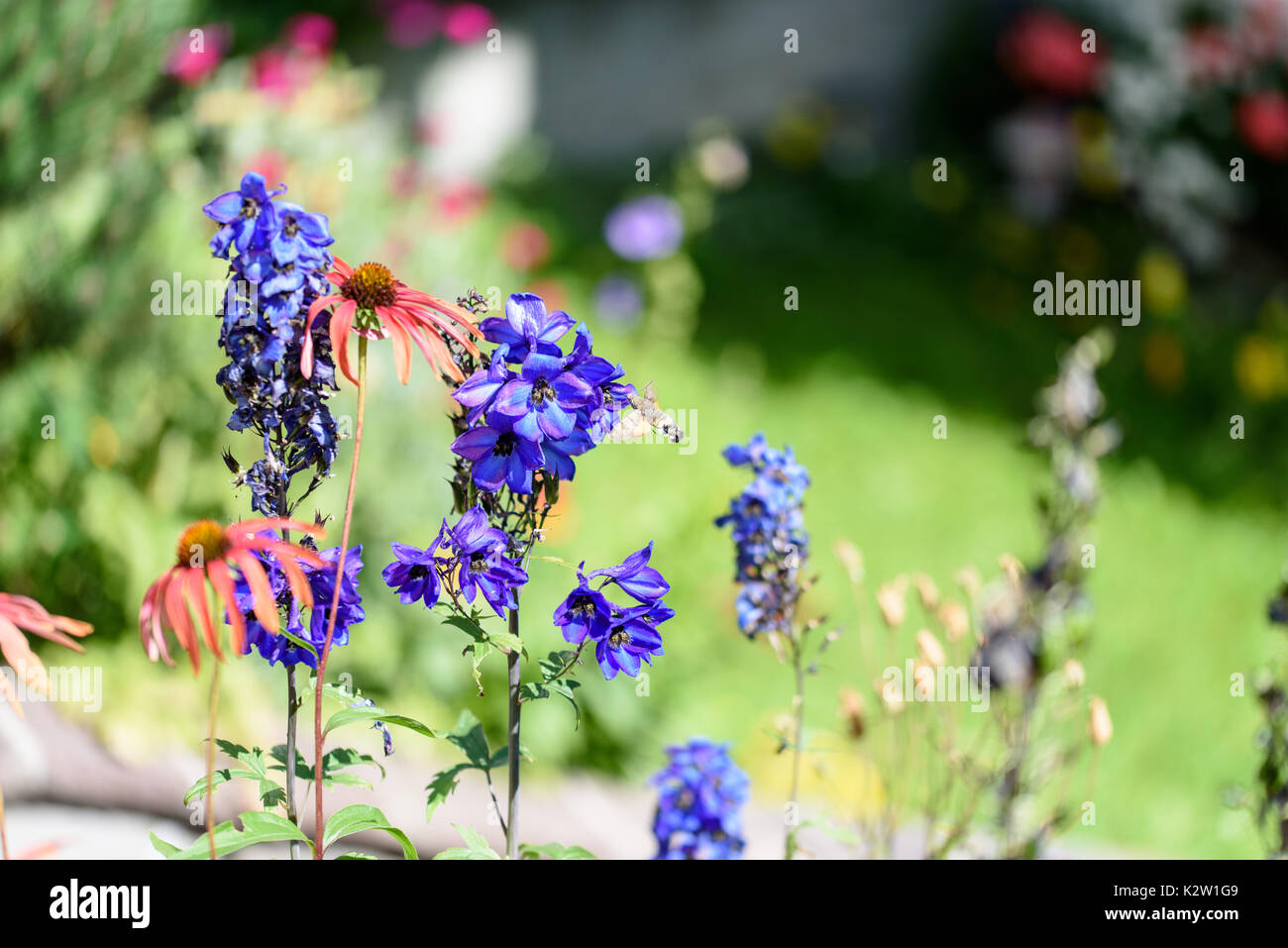 Sauris italy summer hi-res stock photography and images - Alamy