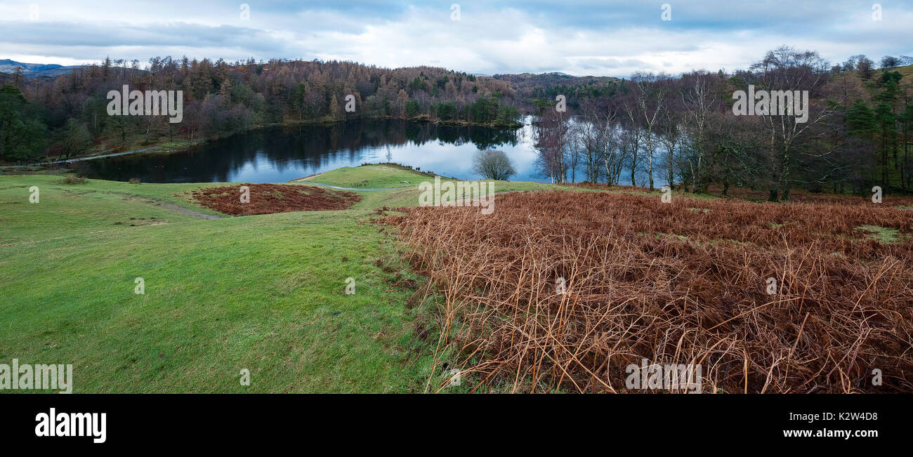 Photography - Nick Harrison Stock Photo - Alamy