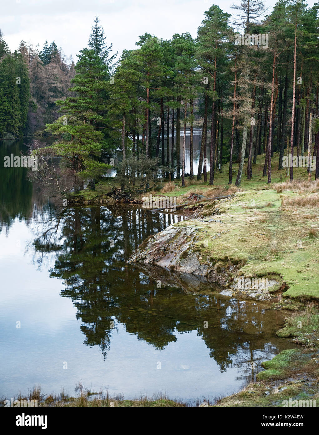 Photography - Nick Harrison Stock Photo - Alamy