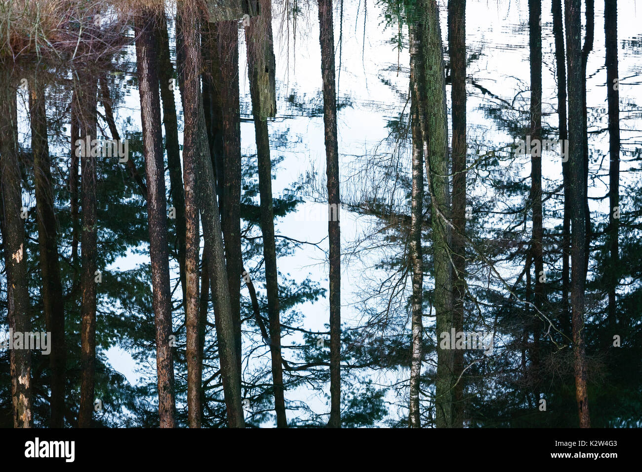 Photography - Nick Harrison Stock Photo - Alamy