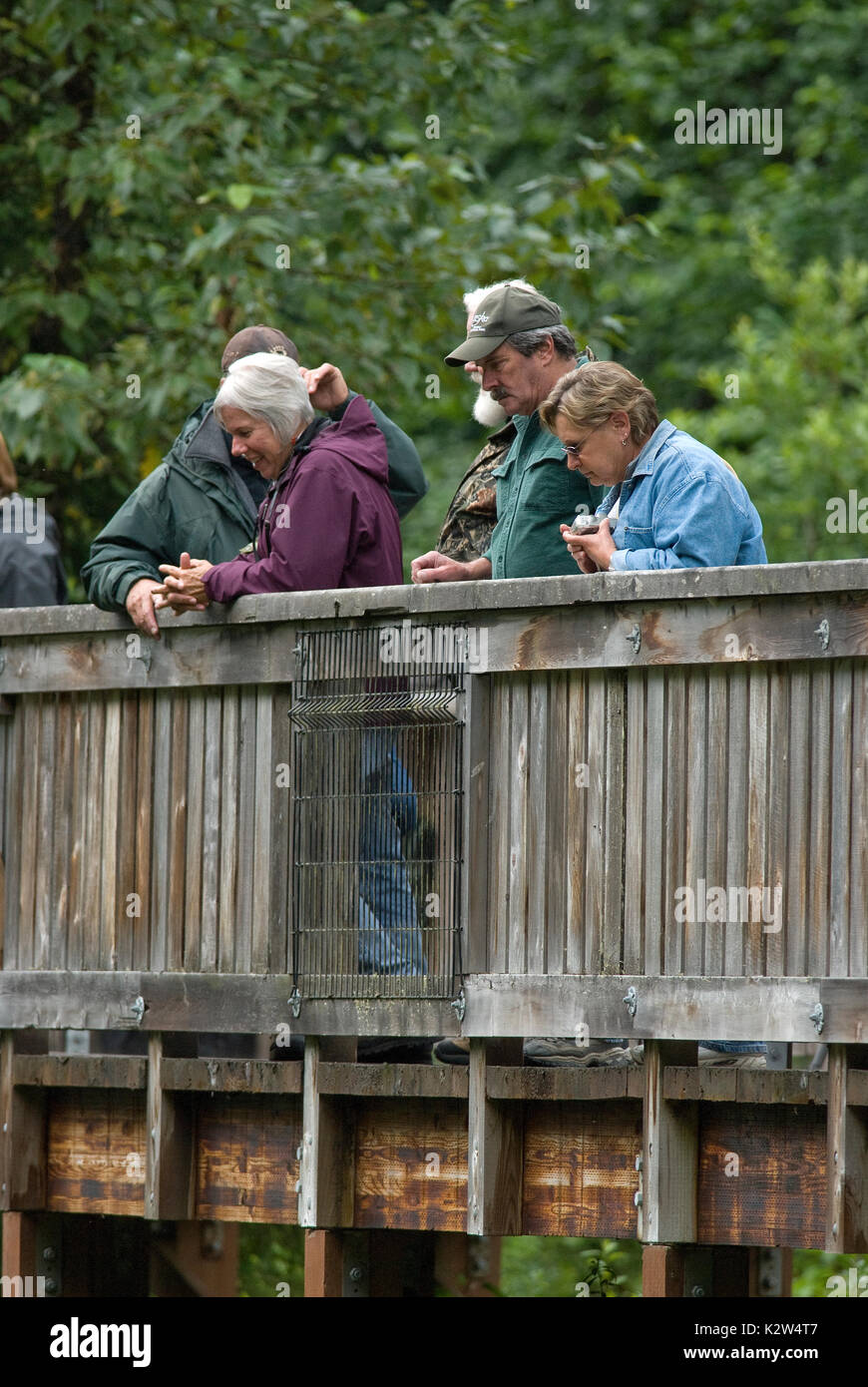 People on bear viewing platform at Fish Creek Wildlife Observation Site ...