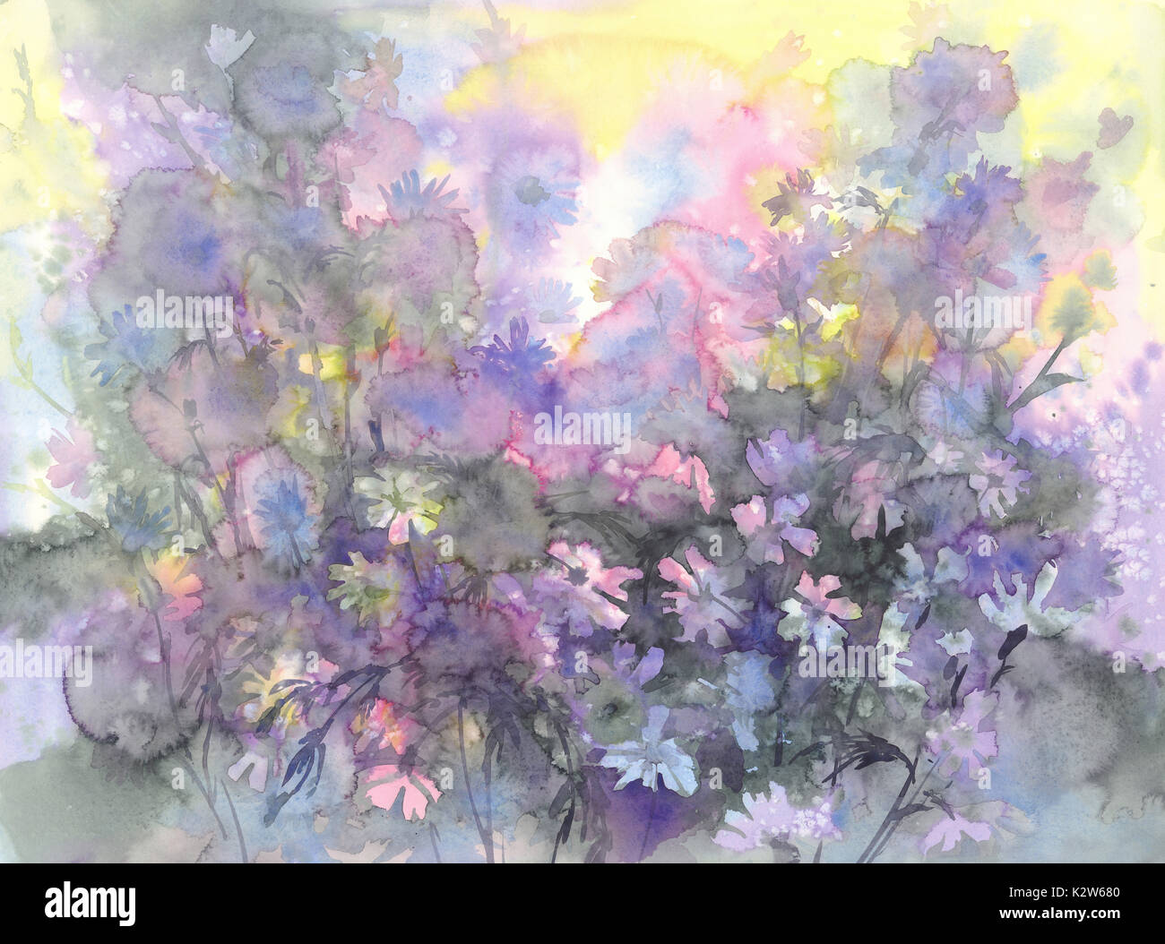 august meadow flowers watercolor background Stock Photo - Alamy