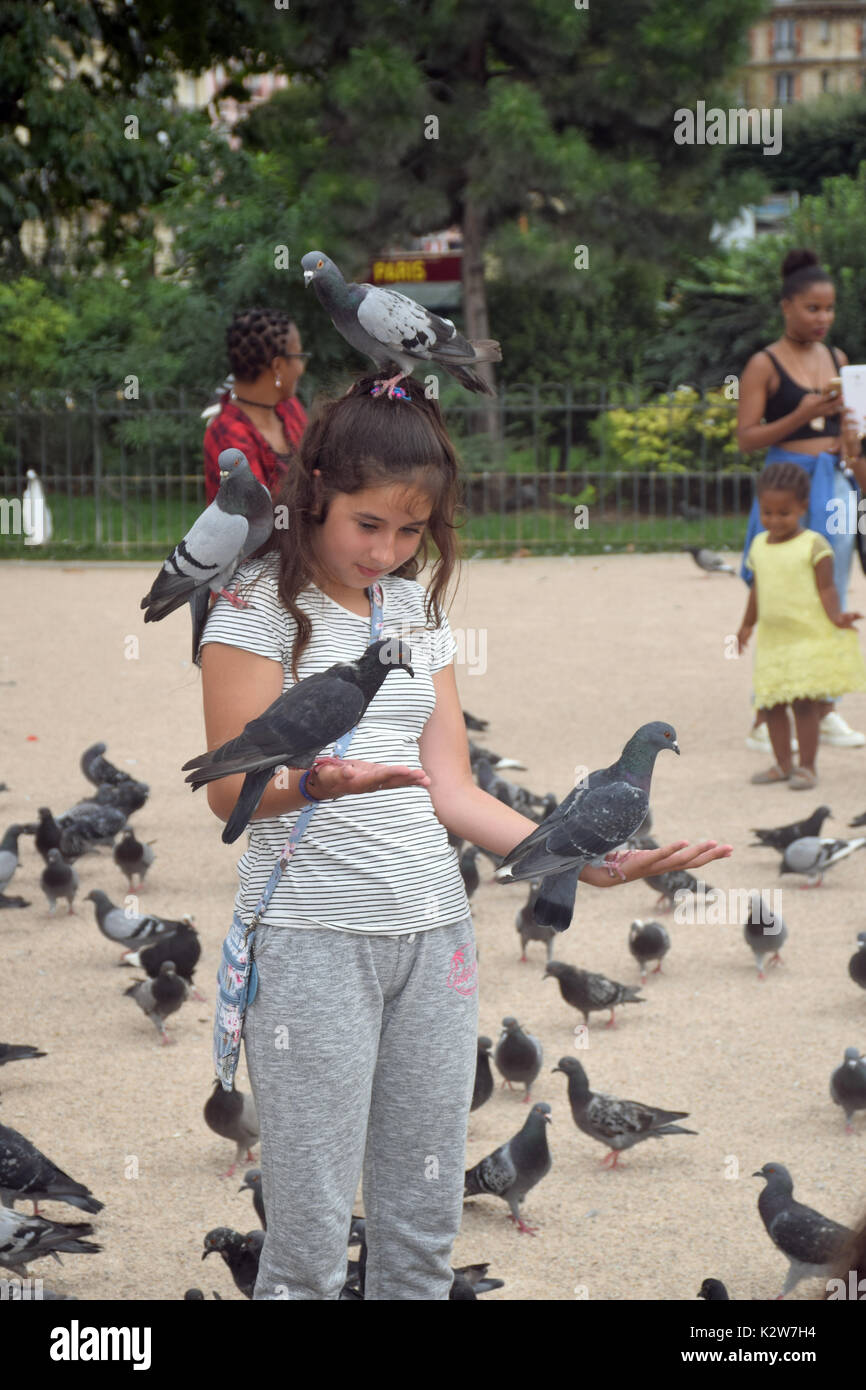 Pigeons outside Notre Dame, Paris, France Stock Photo - Alamy