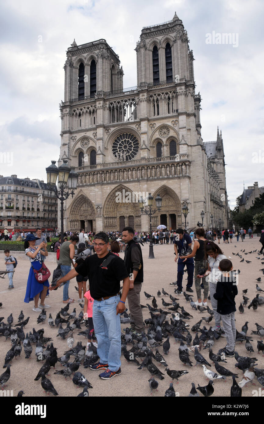 Pigeons outside Notre Dame, Paris, France Stock Photo - Alamy