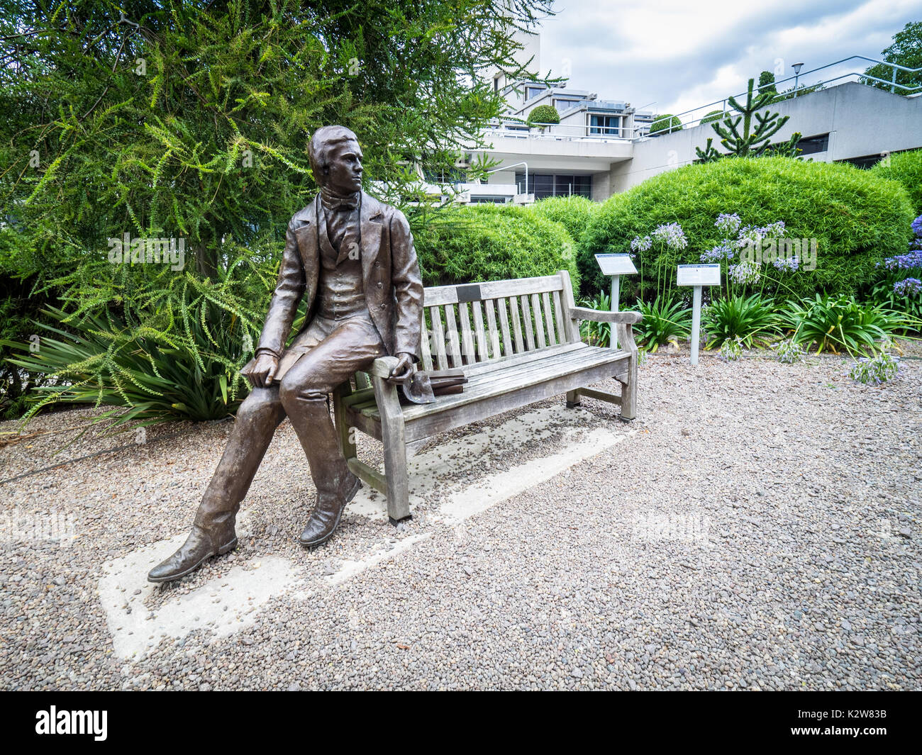 Charles Darwin - young, statue in the Darwin Garden in Christ's College ...