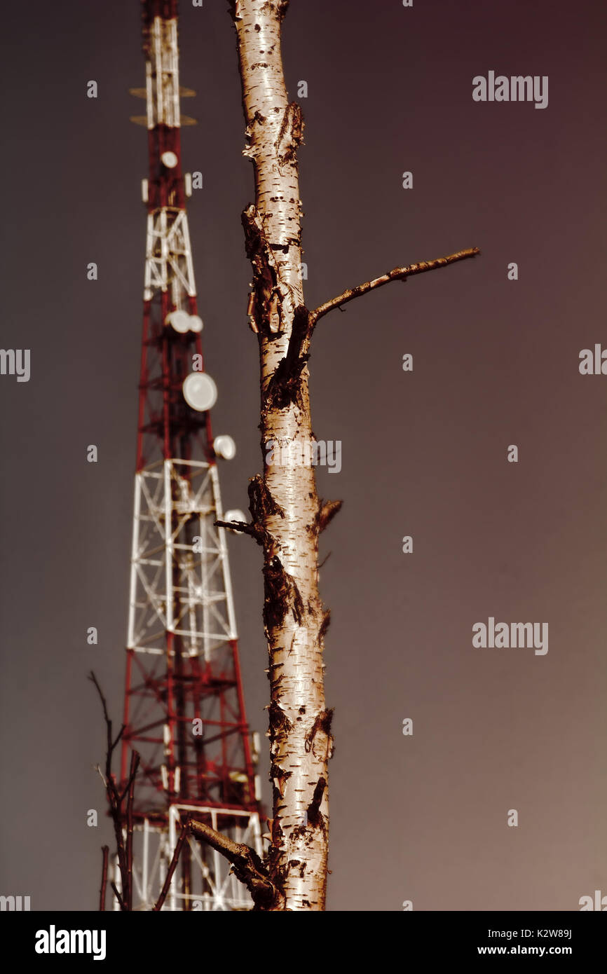 Conflict of technology and nature. Modern telecommunication tower and ...
