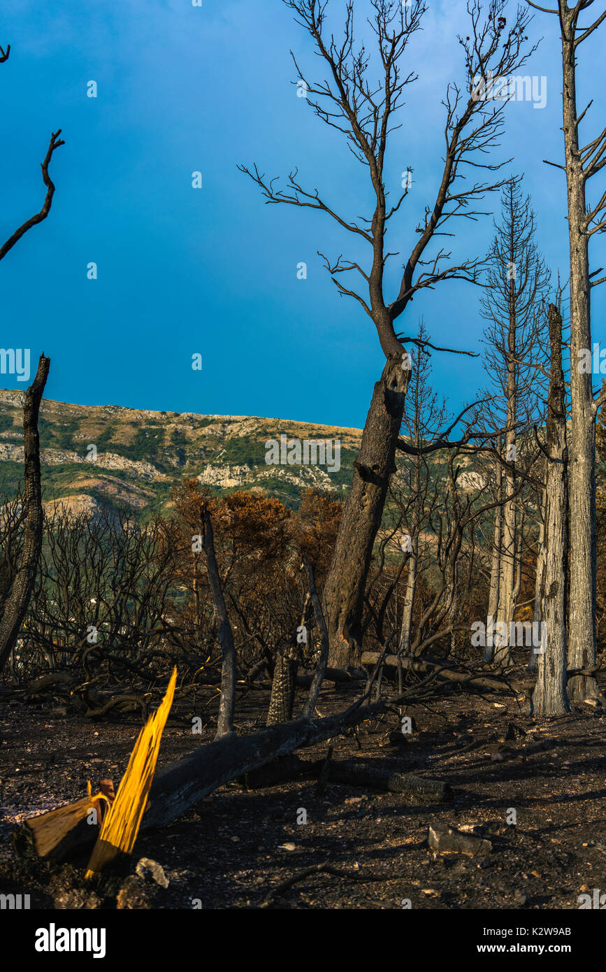 After effects of wildfire hi-res stock photography and images - Alamy