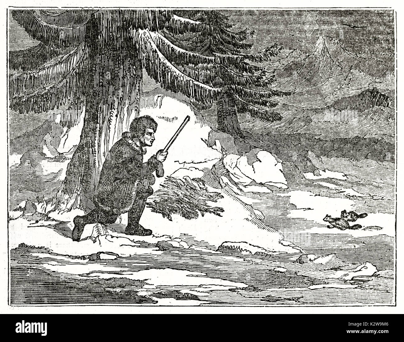 American sable hi-res stock photography and images - Alamy