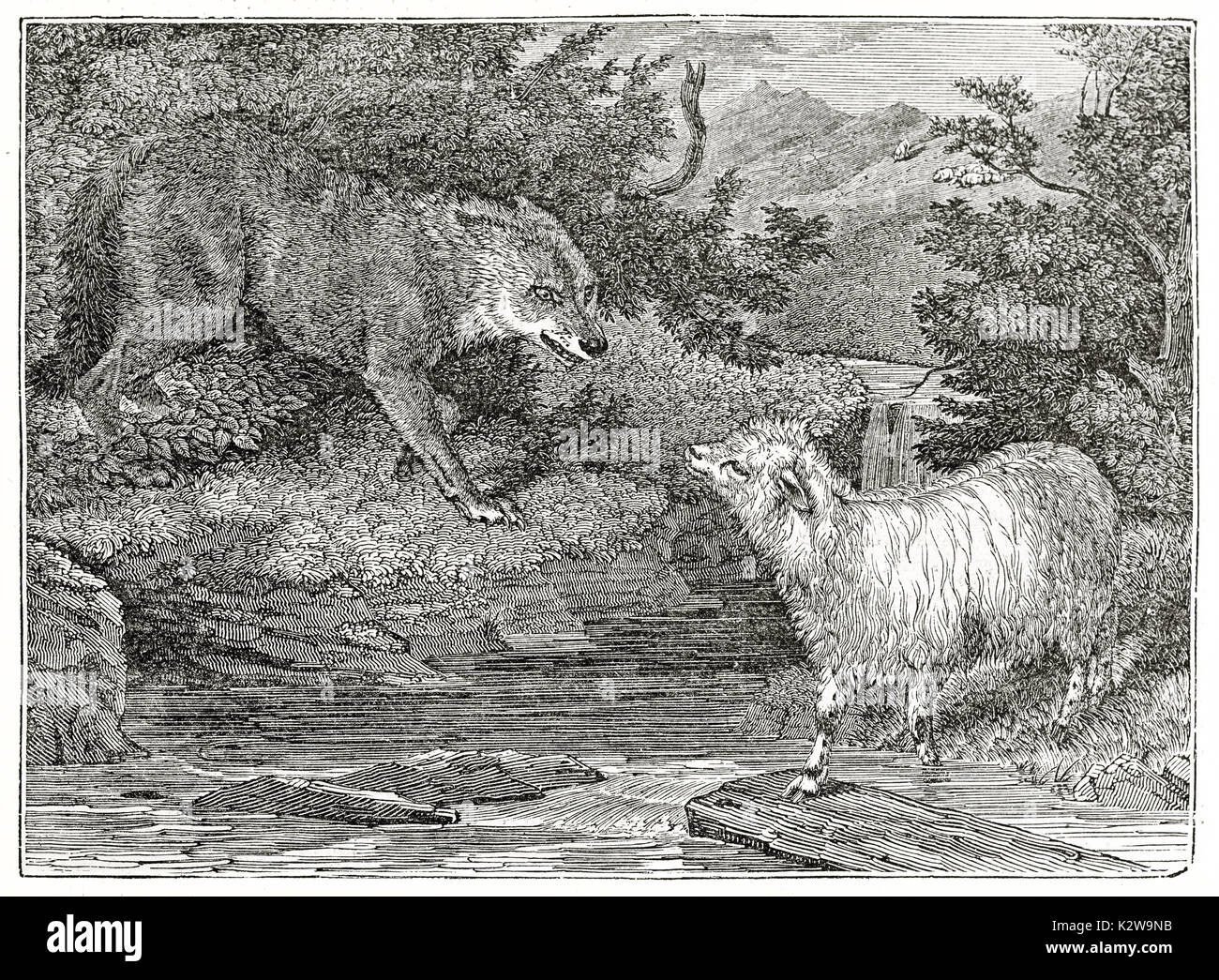 The wolf and the lamb hi-res stock photography and images - Alamy