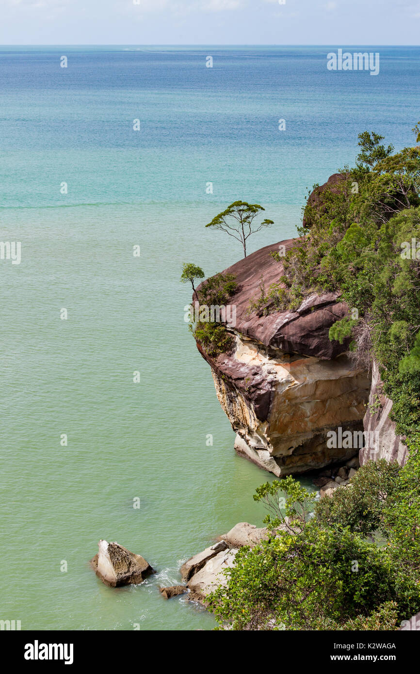 Cliff and trees at ocean shore Stock Photo - Alamy