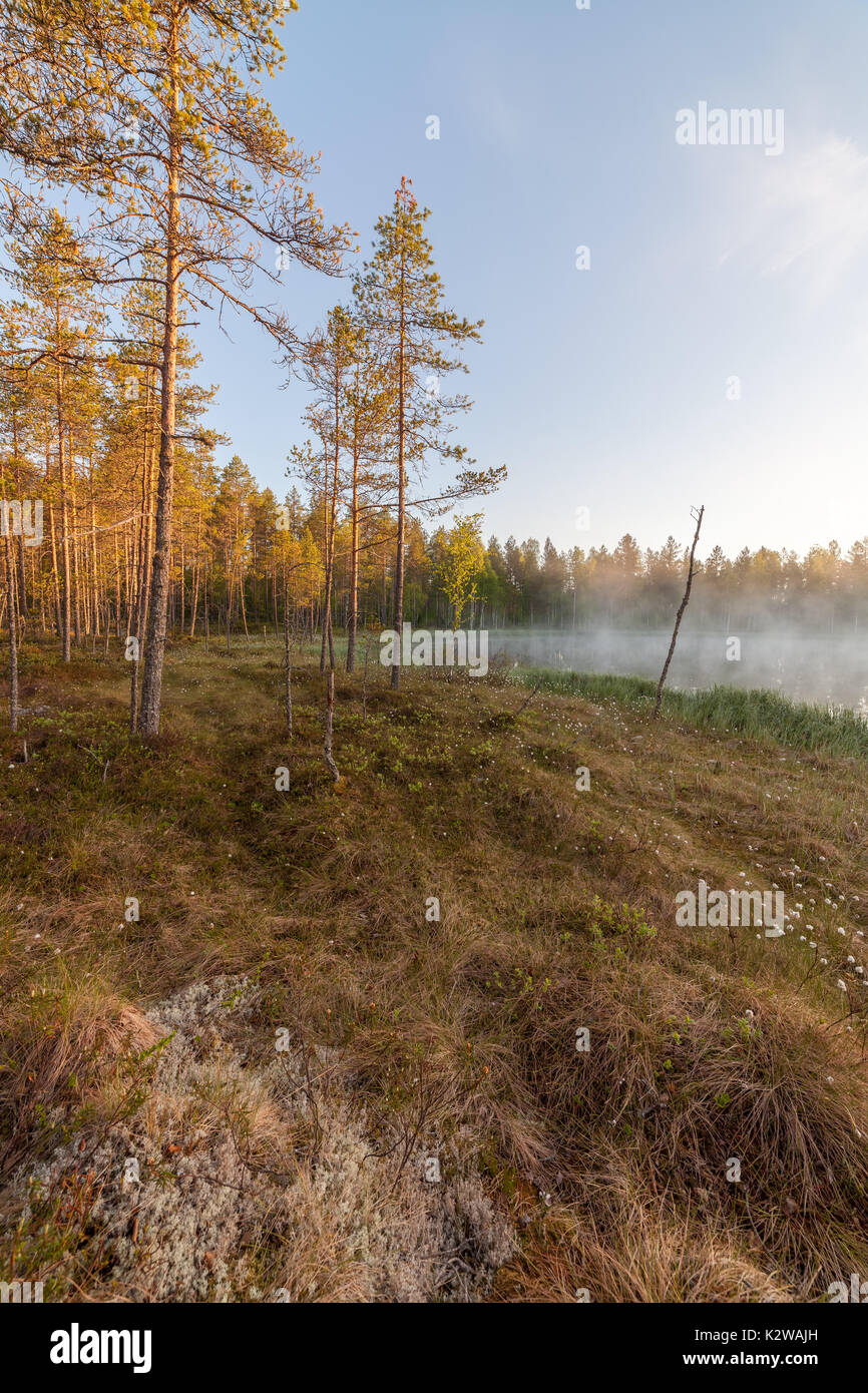 Lake pond trees hi-res stock photography and images - Alamy