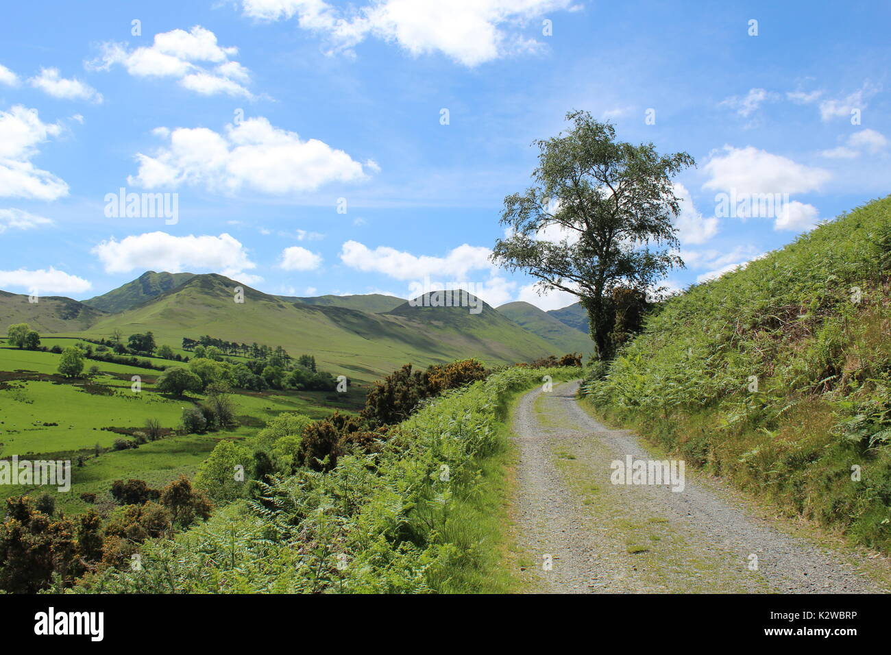 Explore the lake district hi-res stock photography and images - Alamy